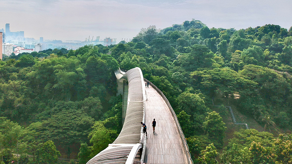 Tirsdagsforum: Gåtur Mount Faber - Henderson Wave - Kent Ridge ...